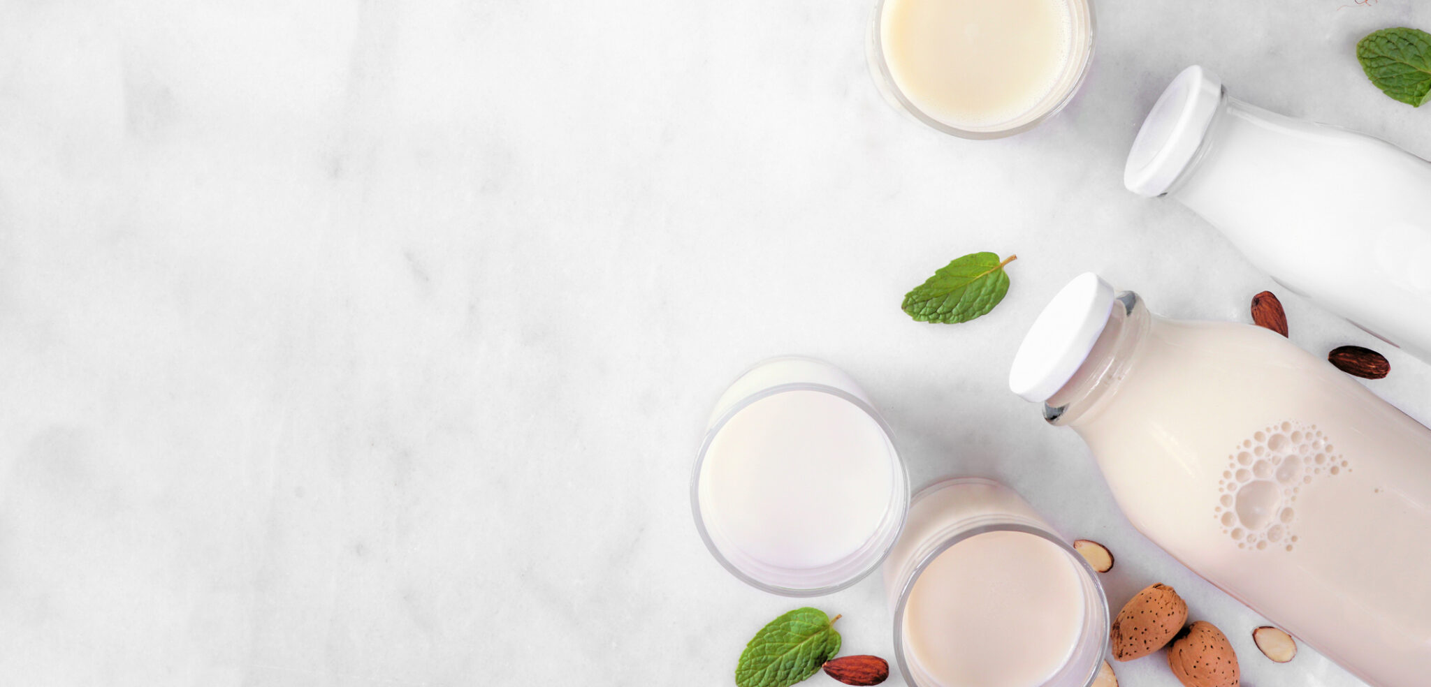 Smith Foods – Dairy and Non-Dairy Products
